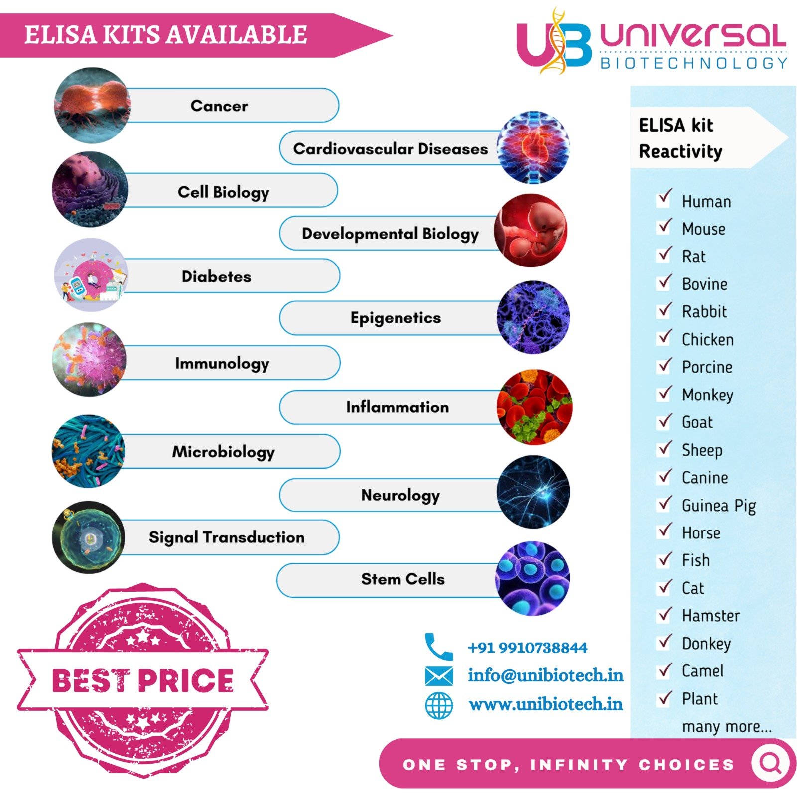 Lablisa® Human CEA (Carcinoembryonic Antigen) ELISA Kit